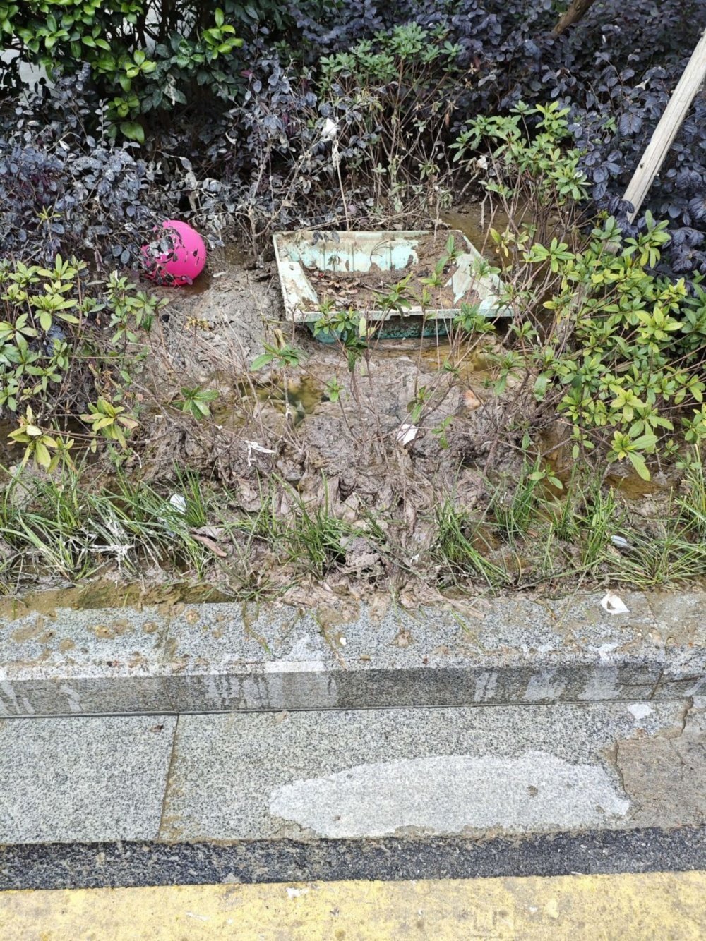 复悦城屡现污水外溢弄脏道路，如何根治_宁波民生e点通